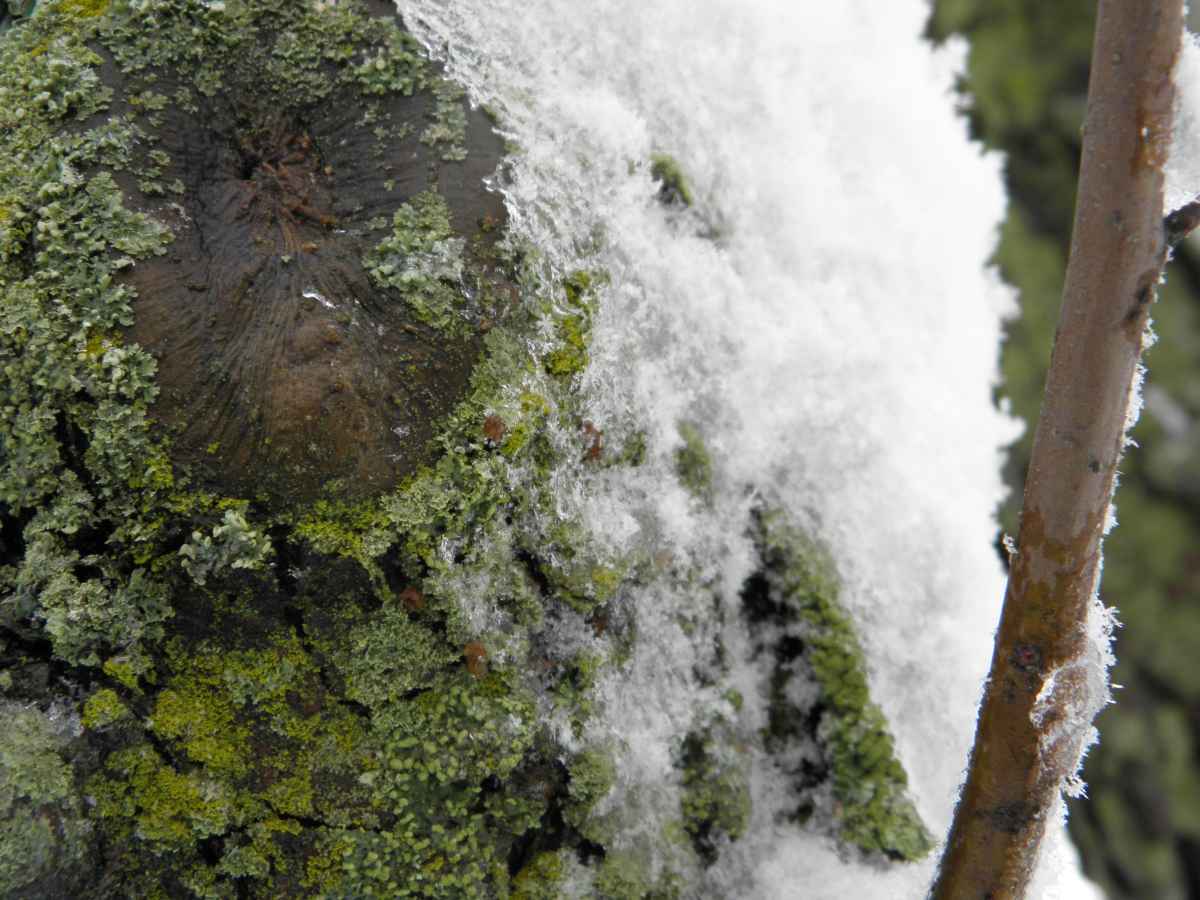 Frozen Niagara: Photos – Sheepie Niagara