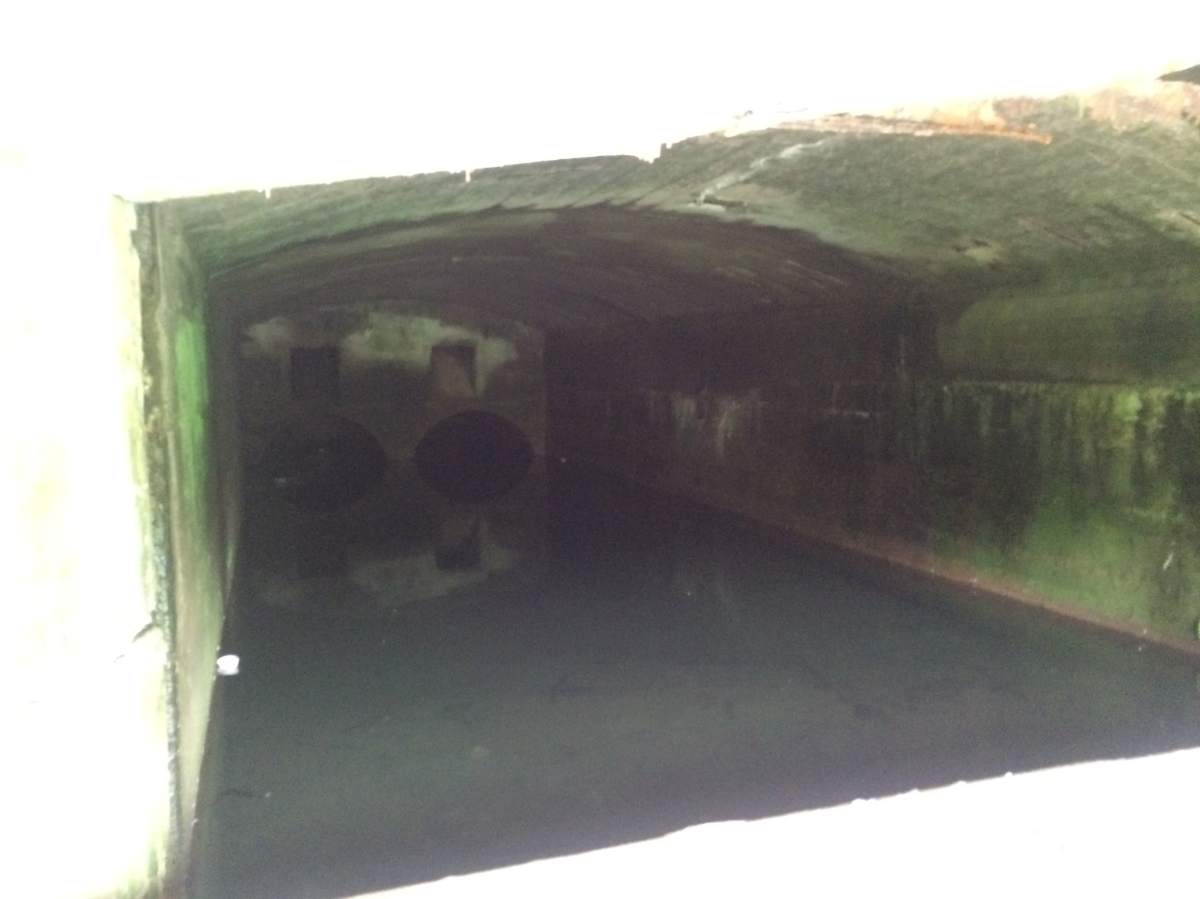 June 7, 1956: The Day Old Niagara Died – Sheepie Niagara